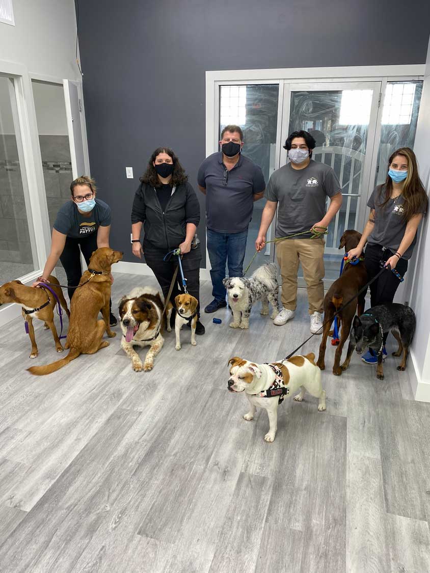 Gallery - Room For Paws Pet Resort